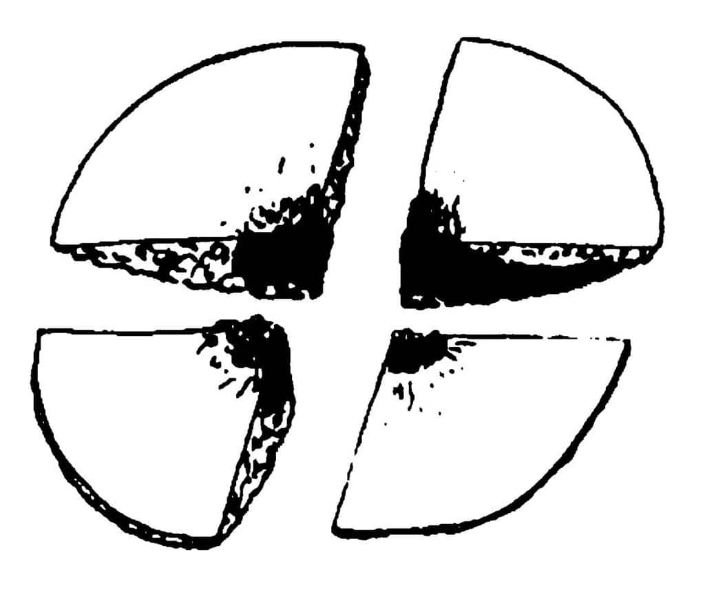 Mohs Surgery Procedure - Central Texas Dermatology